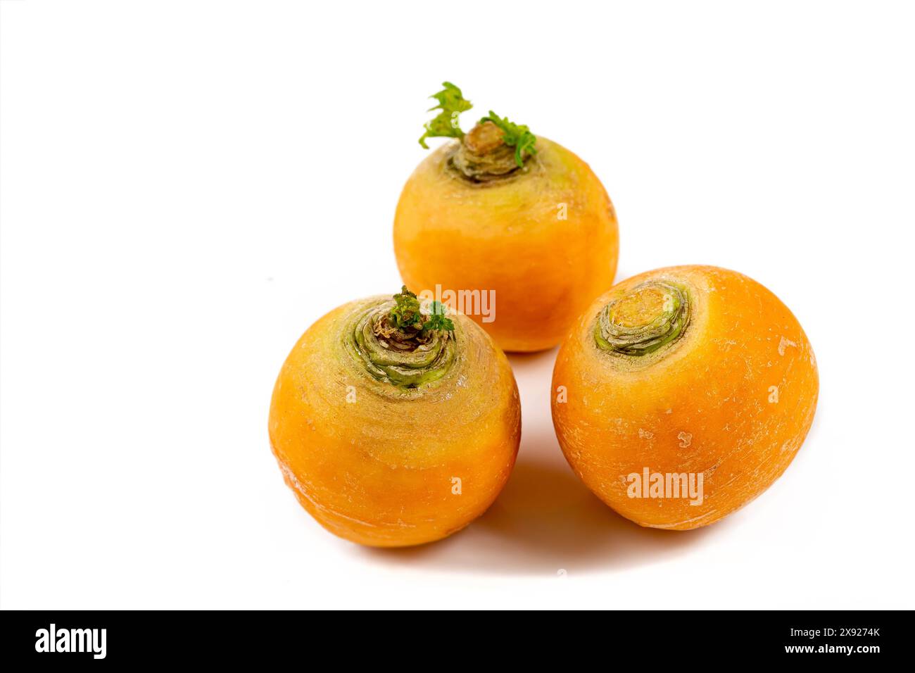 Three turnips close up on white background Golden ball turnip vegetable ...