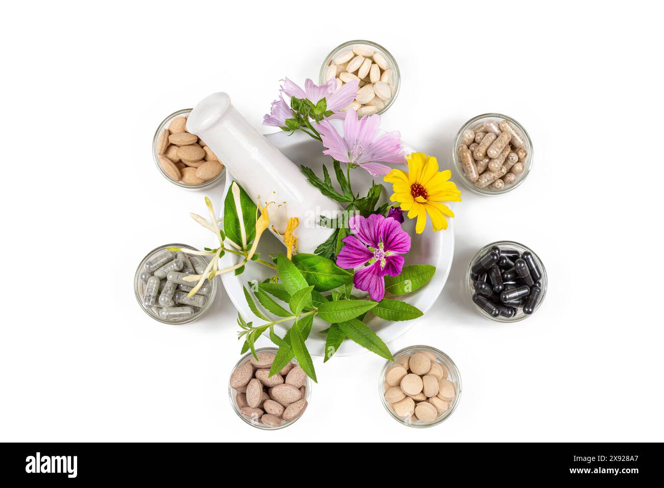 Food supplements based on active ingredients from medicinal plants ...