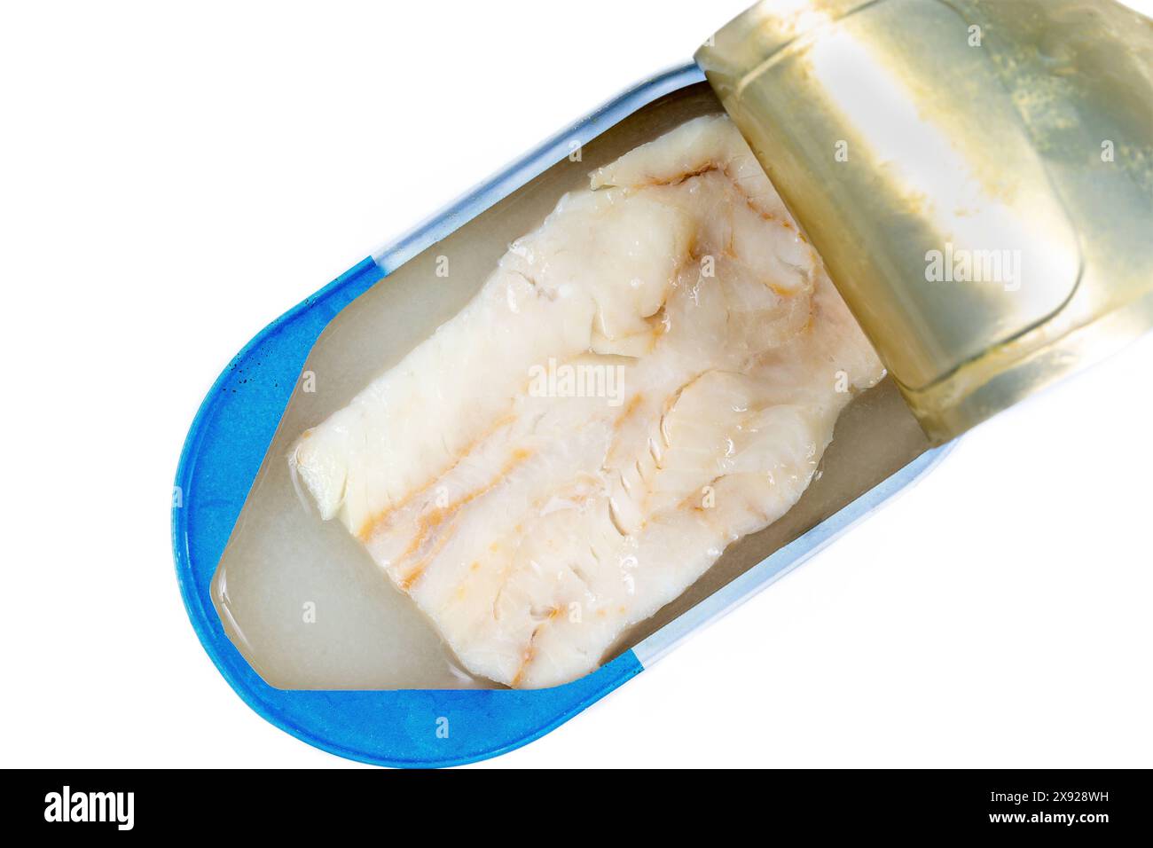 Open box top view hard white background. Canned hake in can. 016438 009 ...