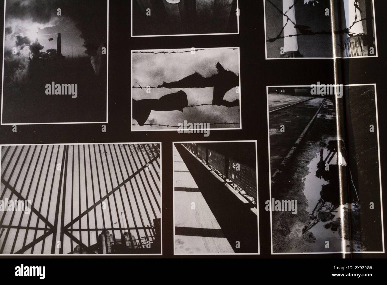 Photographs of the booklet inside Animals album by Pink Floyd (remix ...