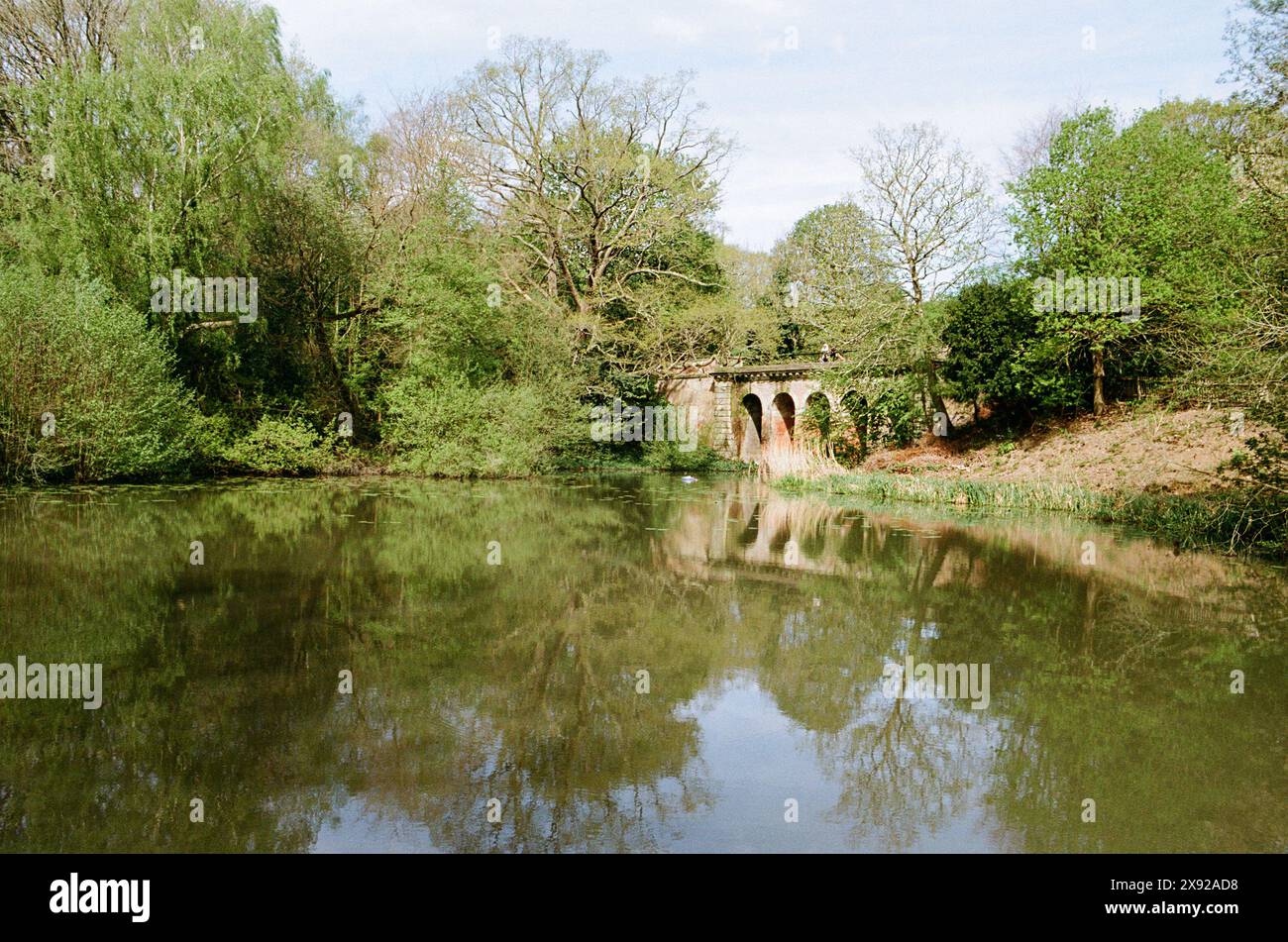 The Viaduct Pond on Hampstead Heath, London UK, in April, with the ...