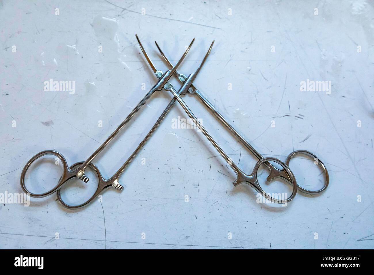 Surgical instruments in tray in washing room before sterilization ...