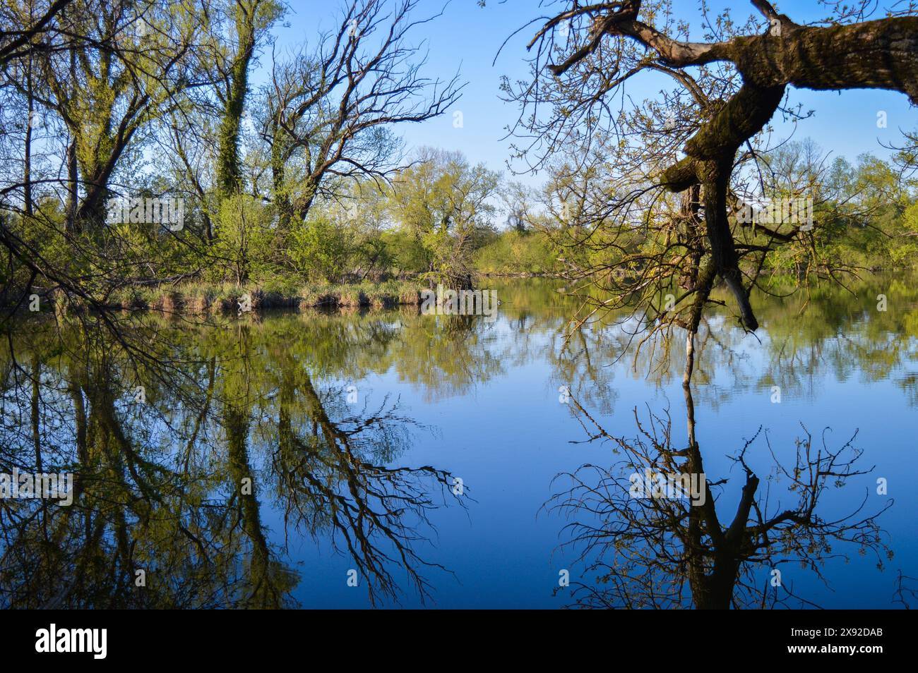 Beautiful lake scene with reflection on calm water Stock Photo - Alamy