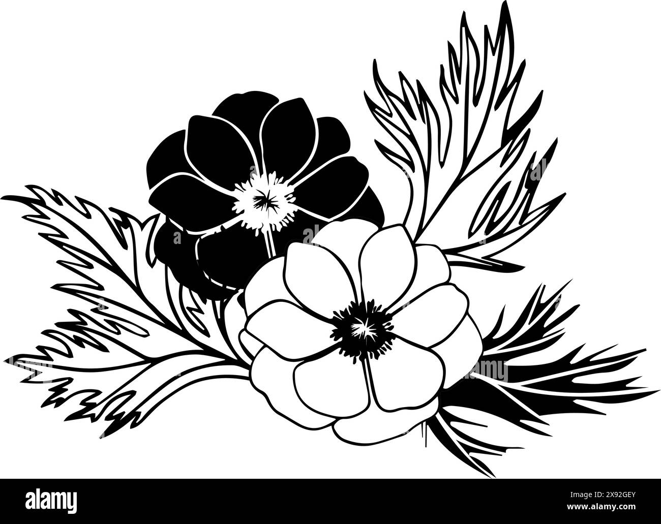 Vector anemone flowers and leaves. Hand drawn outline monochrome ...