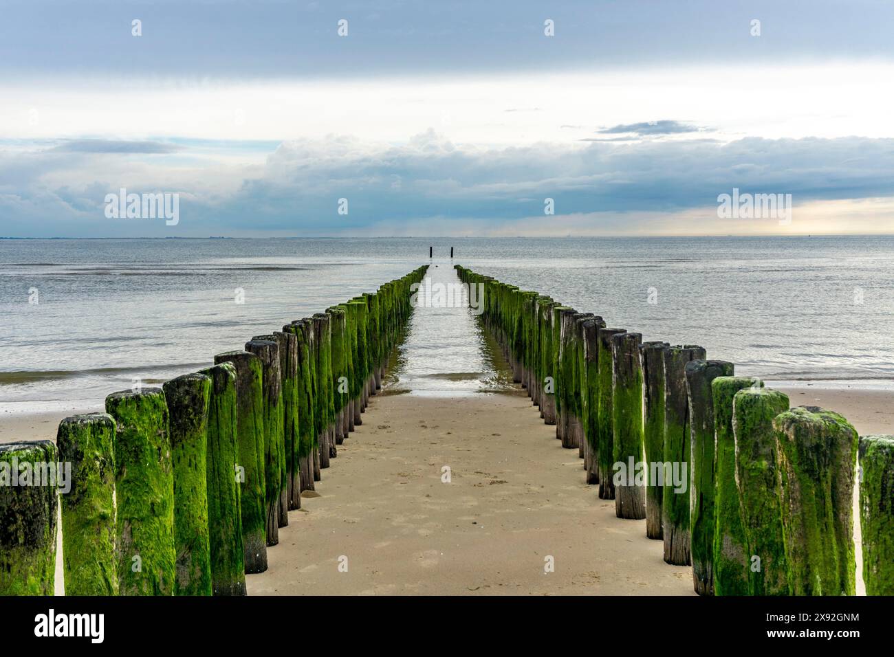 North Sea coast in Zeeland, called Zeeland Riviera, breakwater, made of ...