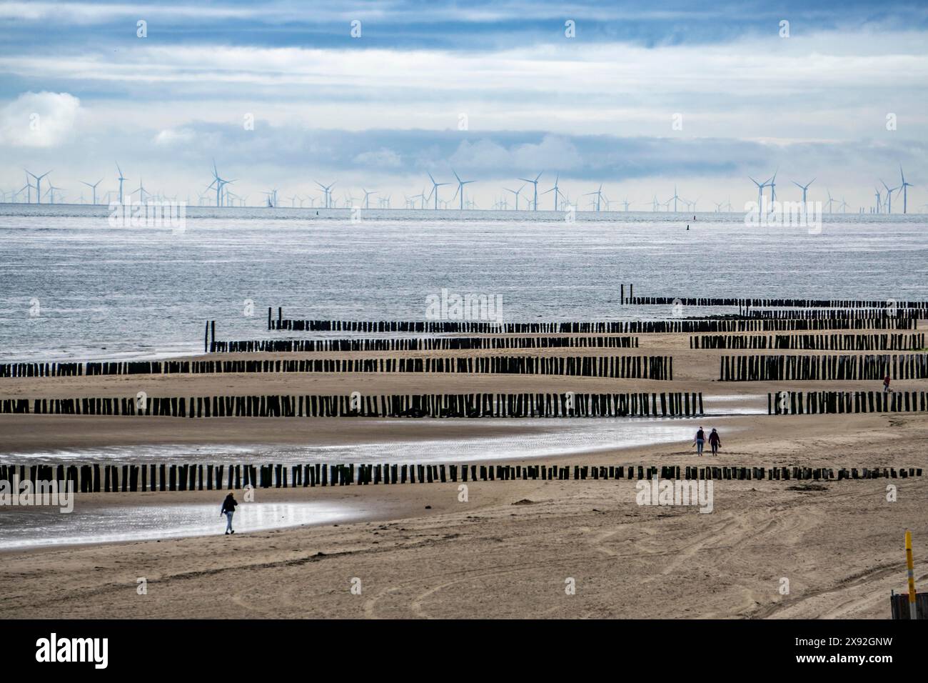 North Sea coast in Zeeland, called Zeeland Riviera, breakwater, made of ...