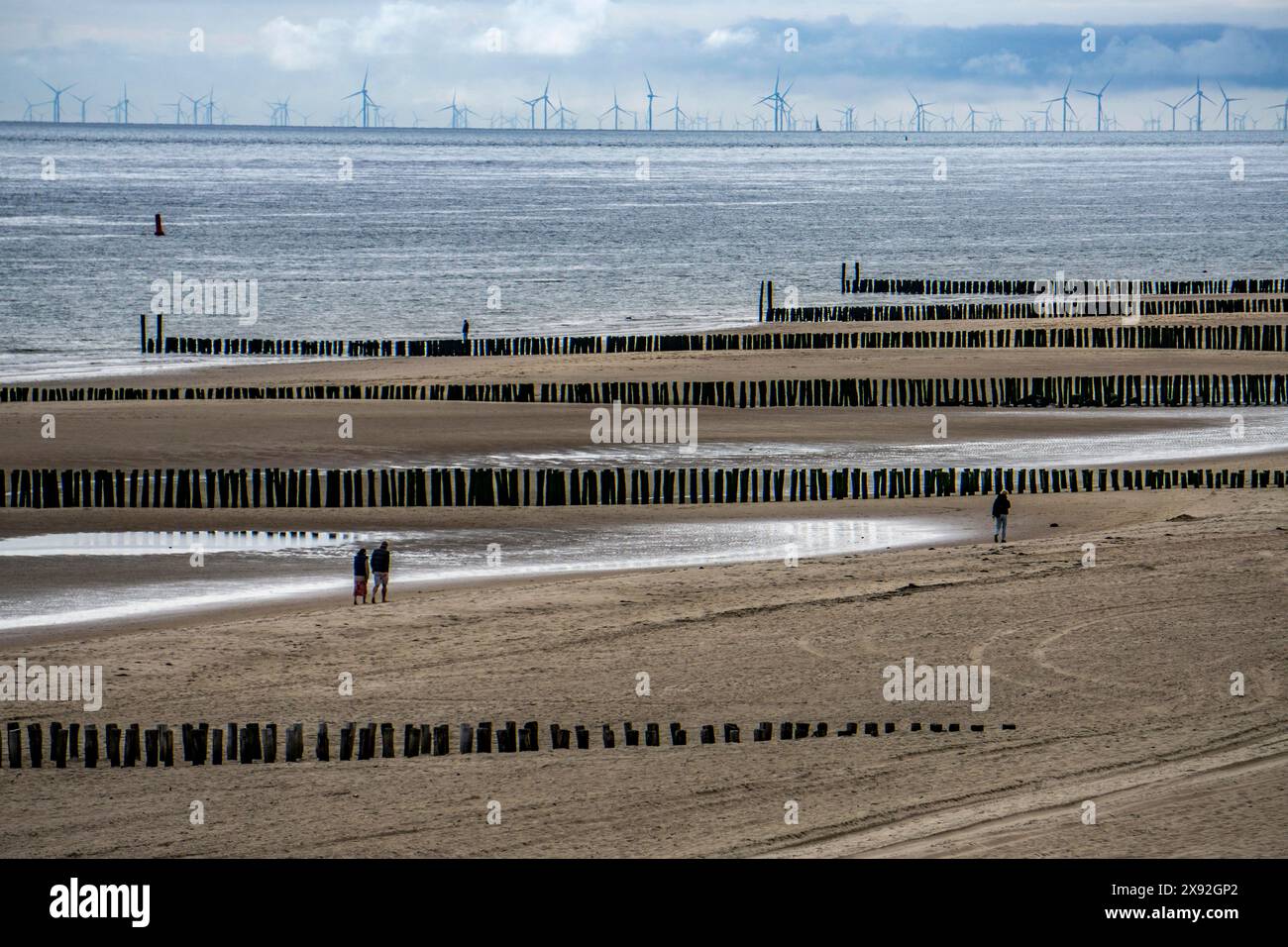 North Sea coast in Zeeland, called Zeeland Riviera, breakwater, made of ...