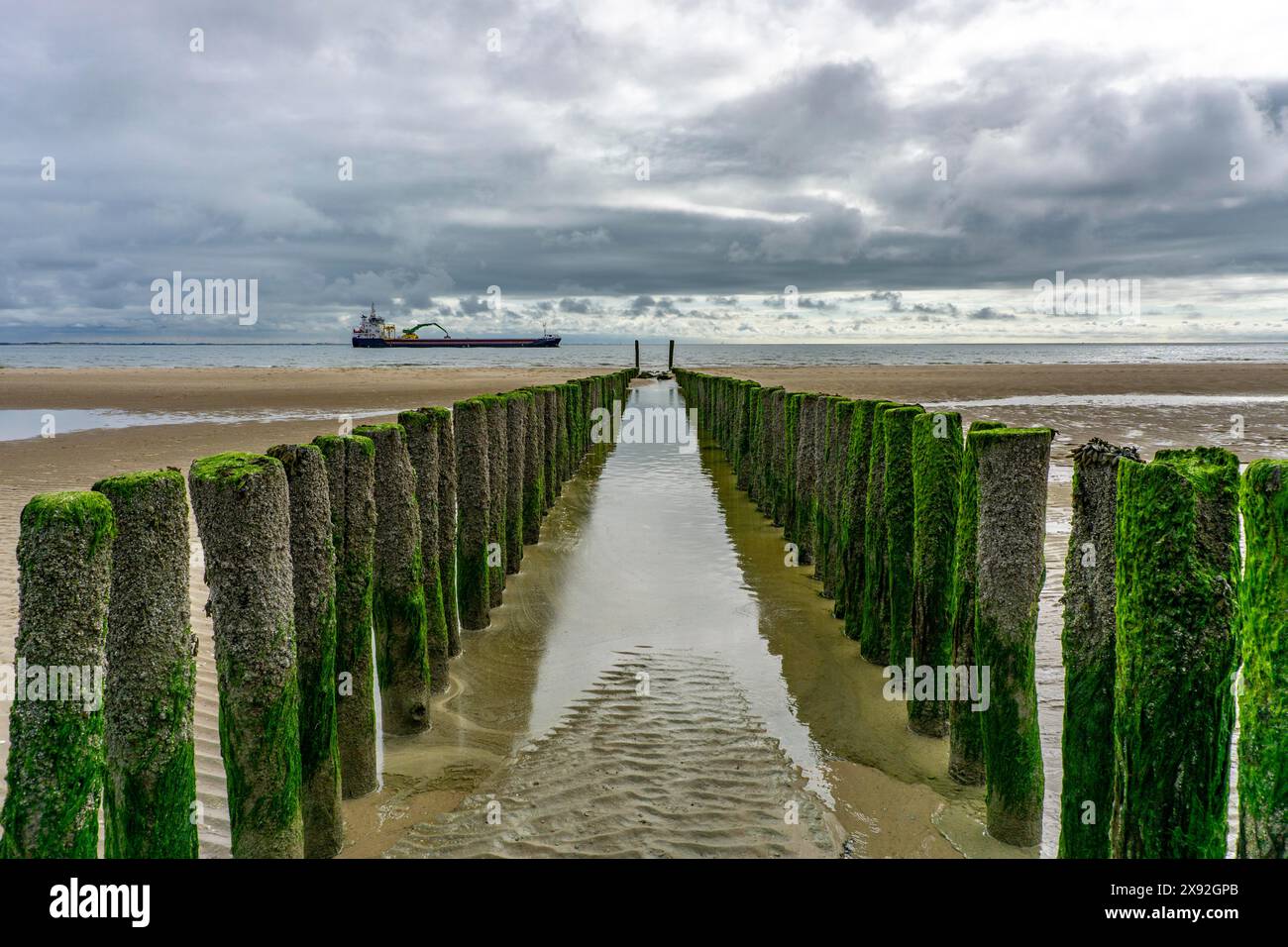 North Sea coast in Zeeland, called Zeeland Riviera, breakwater, made of ...