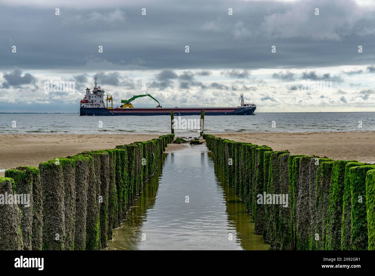 North Sea coast in Zeeland, called Zeeland Riviera, breakwater, made of ...