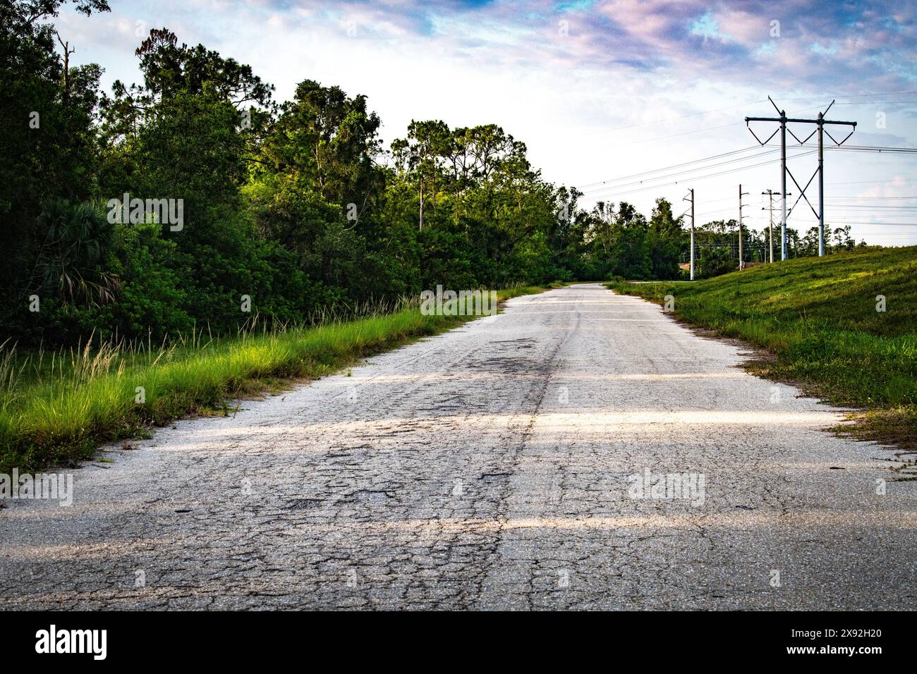 Old Roadways in a wooded area Stock Photo - Alamy