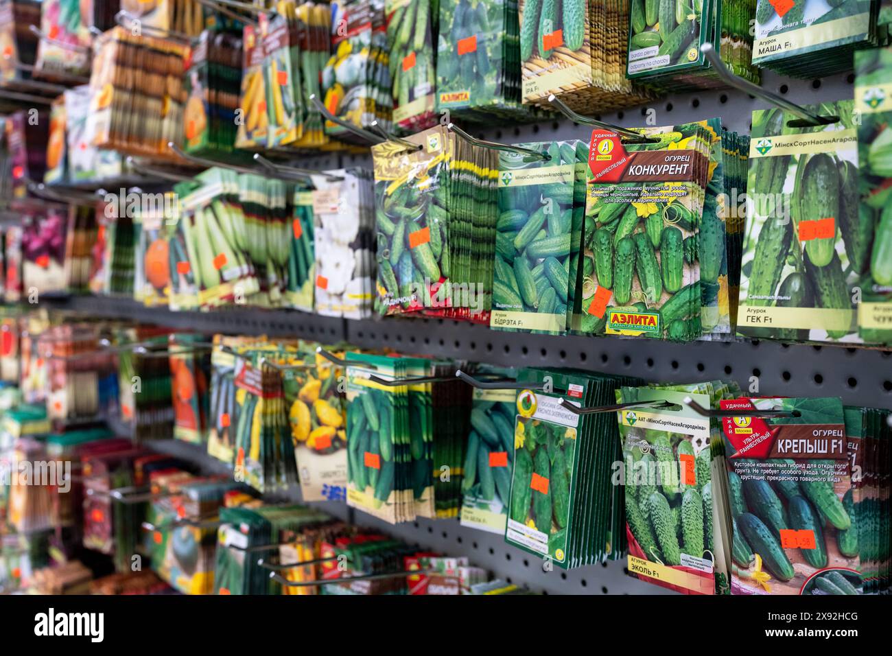 For sale seeds various different hi-res stock photography and images ...