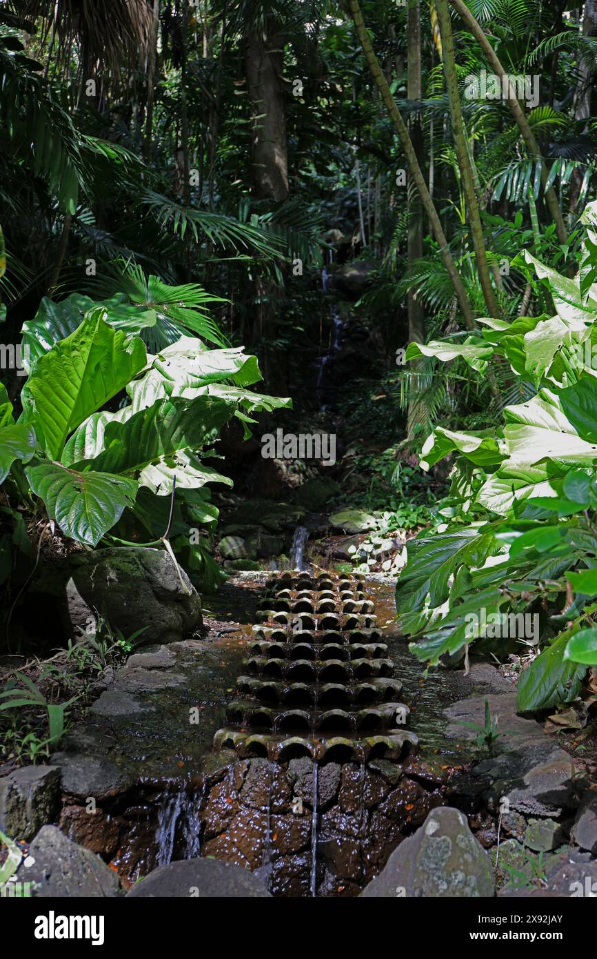 Tiered gardens hi-res stock photography and images - Alamy