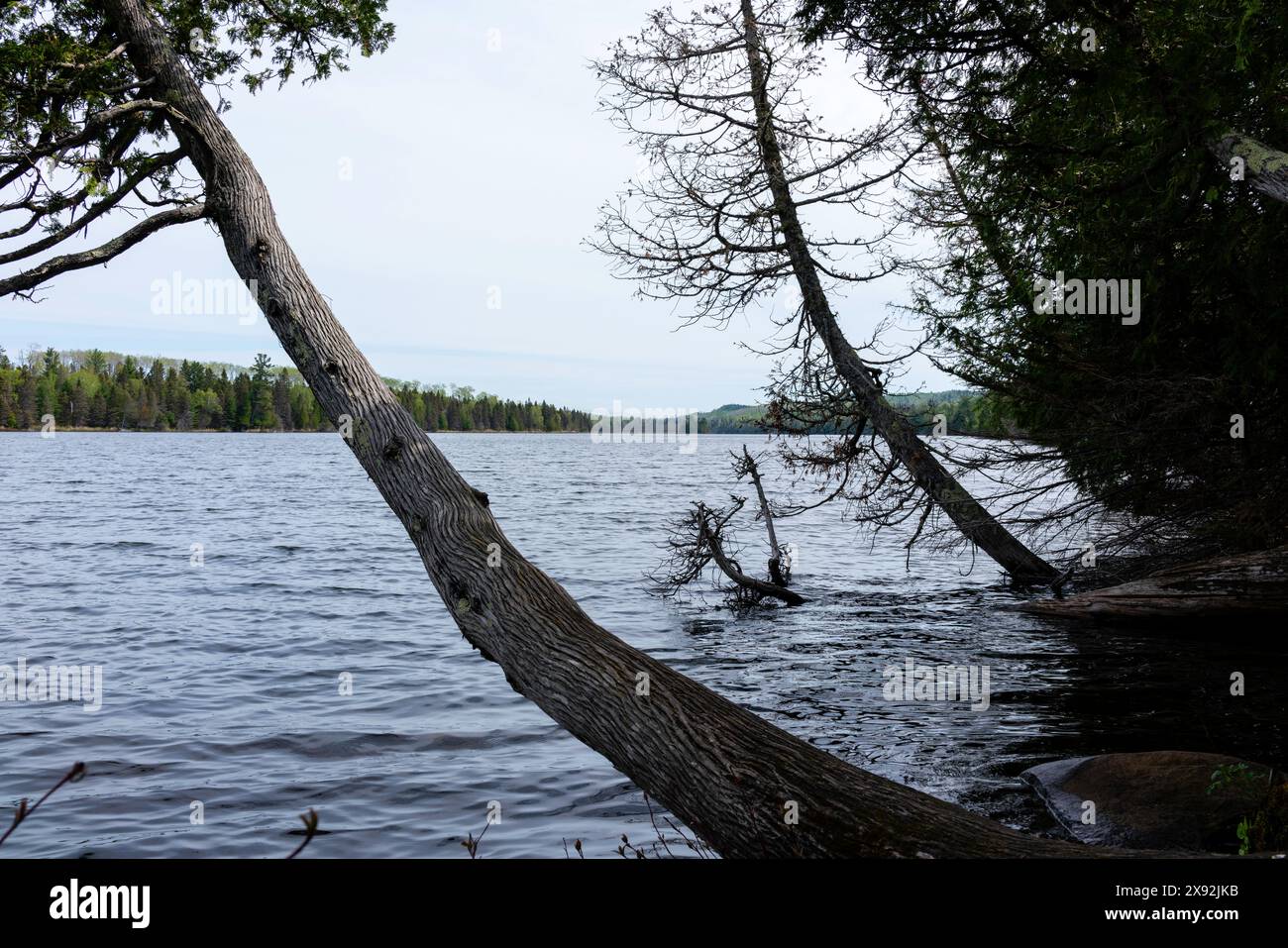 View of Chickenbone Lake. Isle Royale National Park, Michigan, USA ...