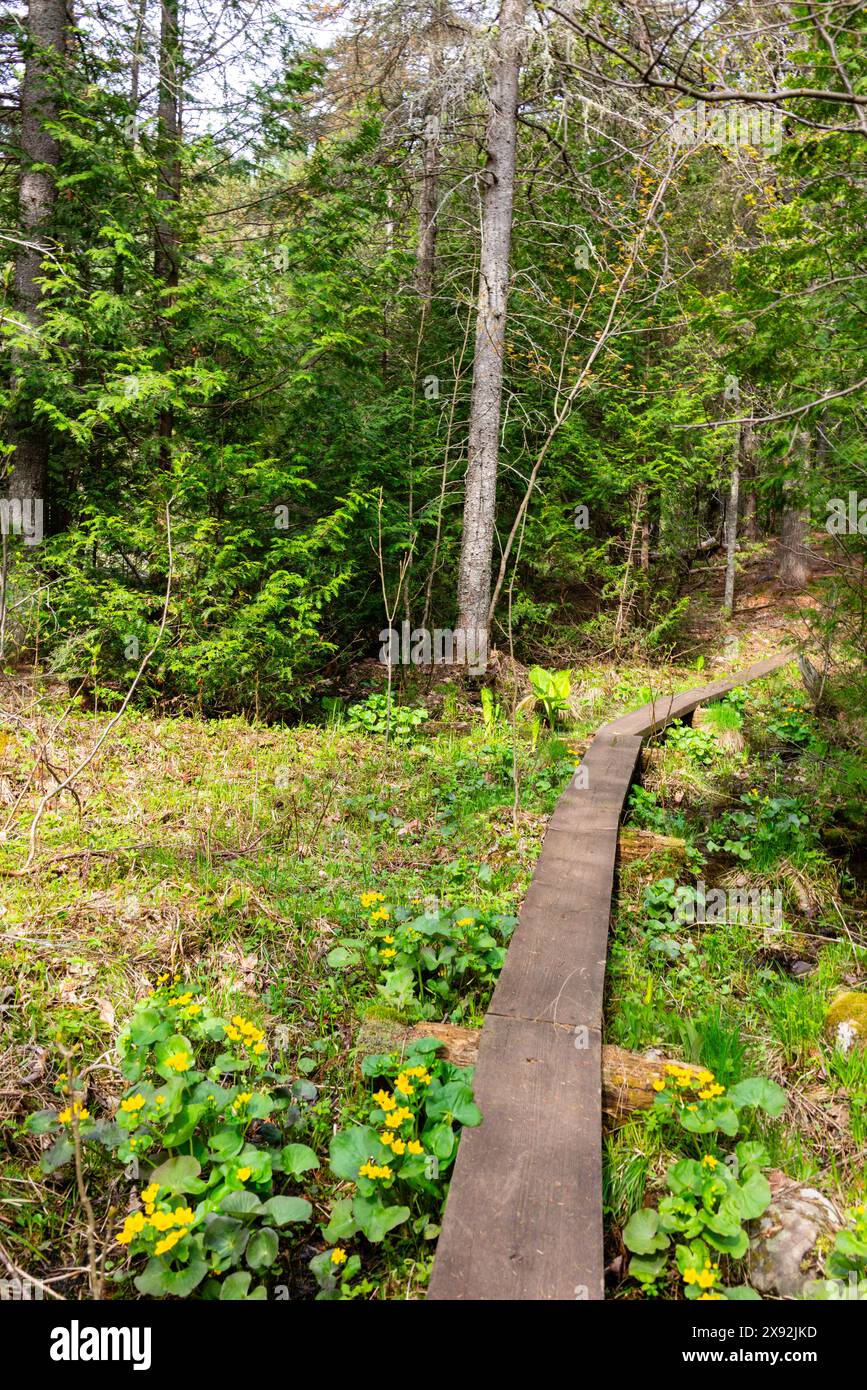 The greenstone bridge the greenstone bridge hi-res stock photography ...