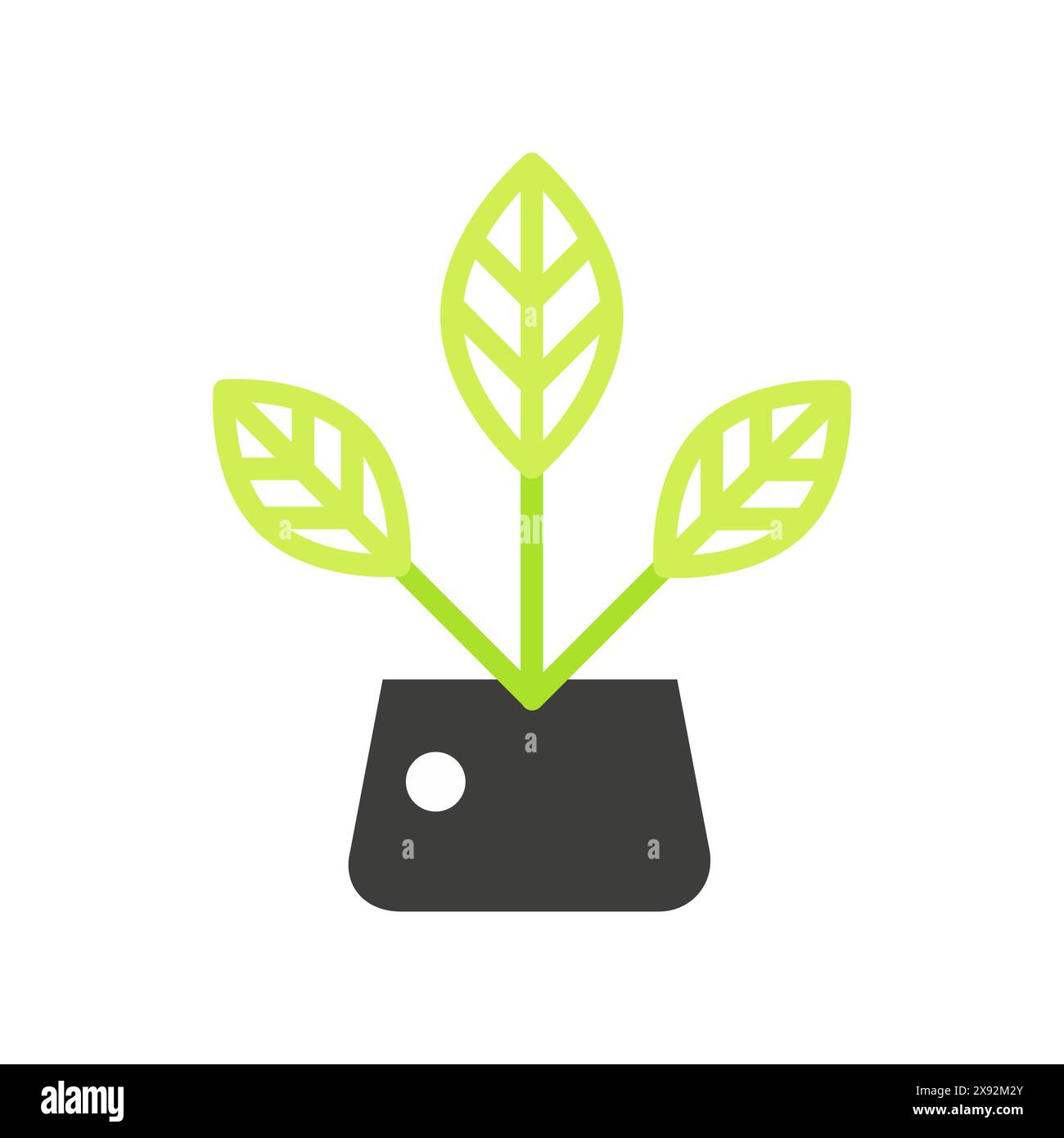 Plant with three leaves on stems in vase, black and green line icon ...
