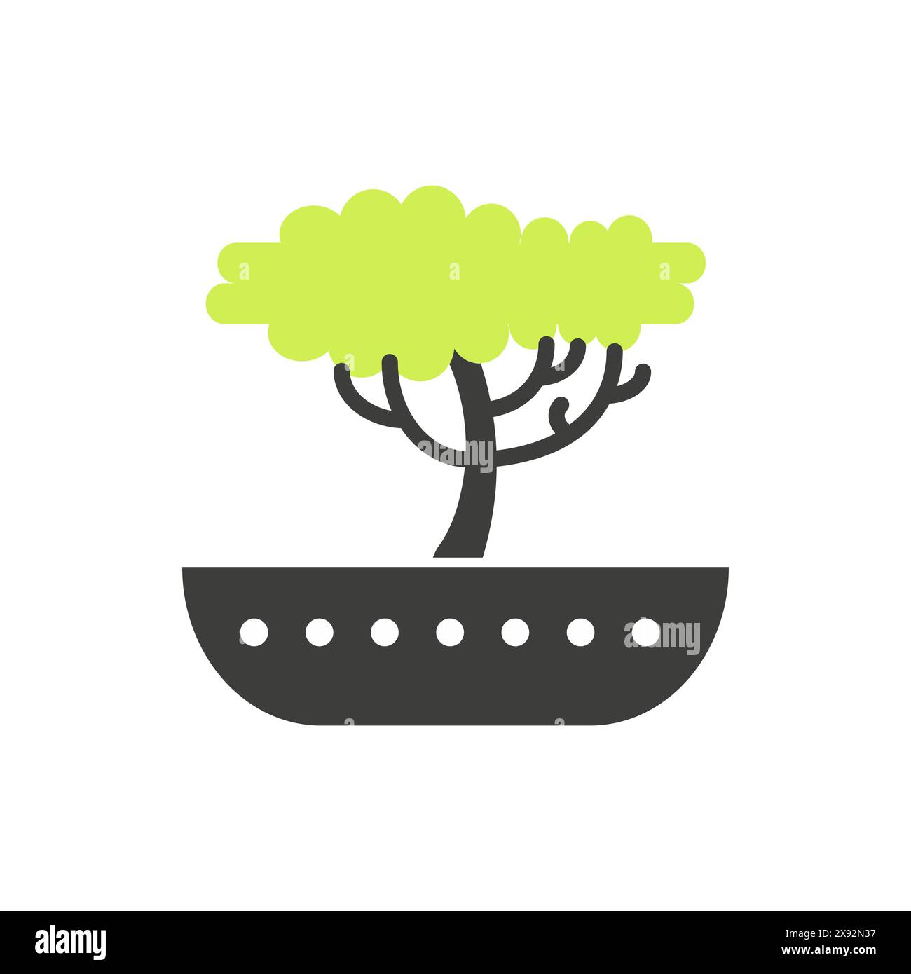 Banzai tree growing in flat pot in home garden, black and green line ...