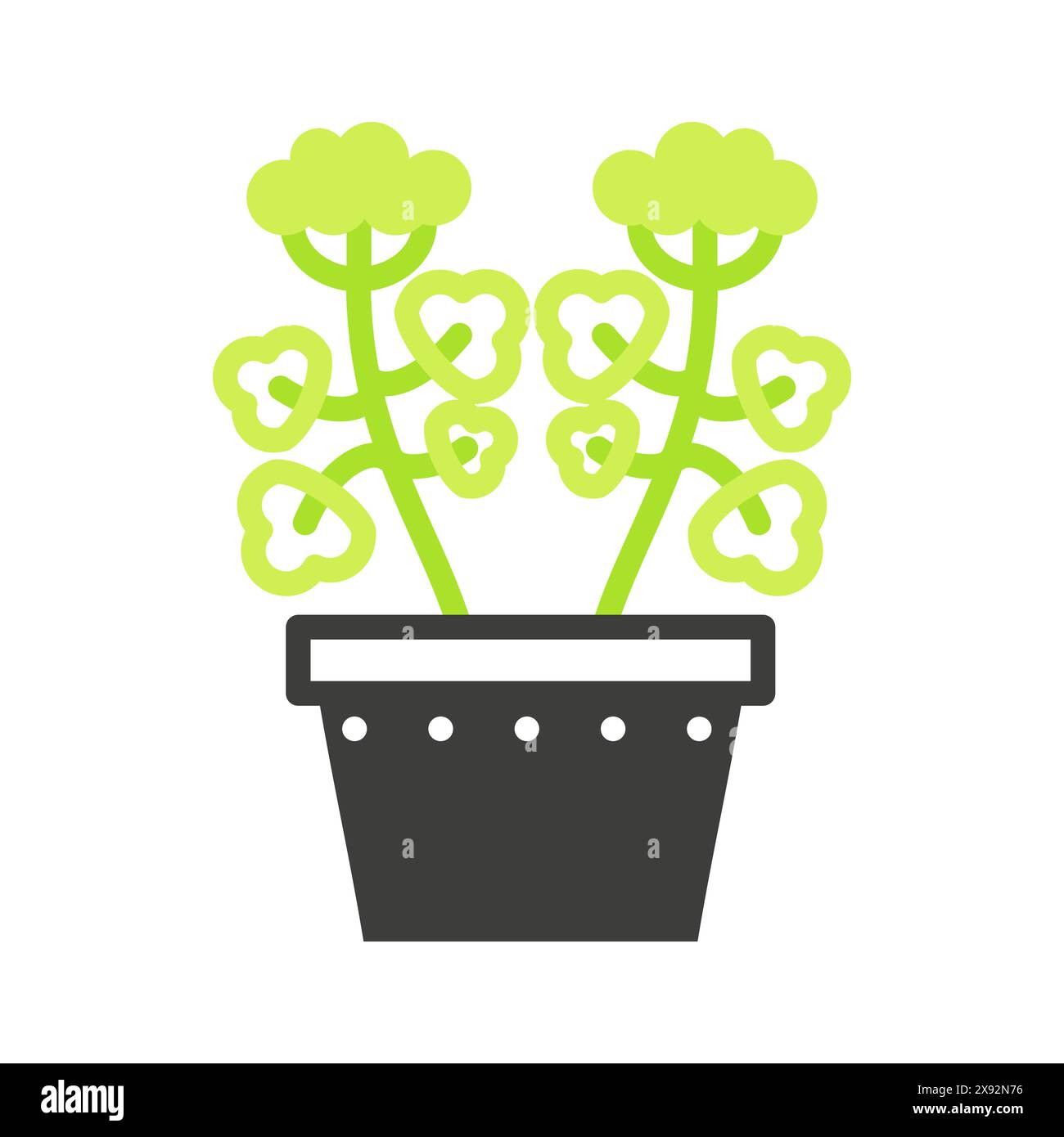 Contours of flowers on stems of plant growing in pot., black and green ...