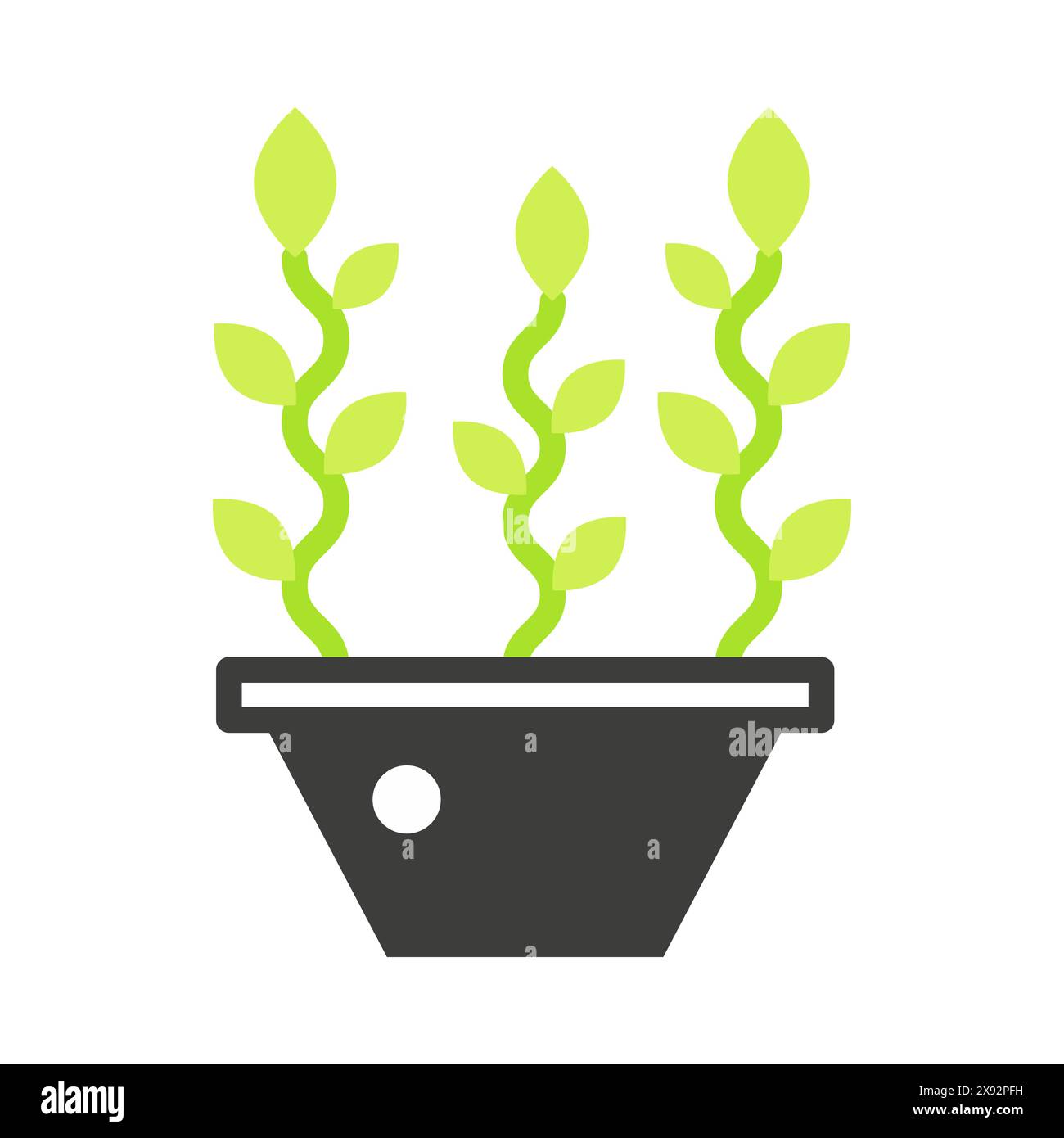 Three twisted plants with leaves growing in pot, black and green line ...