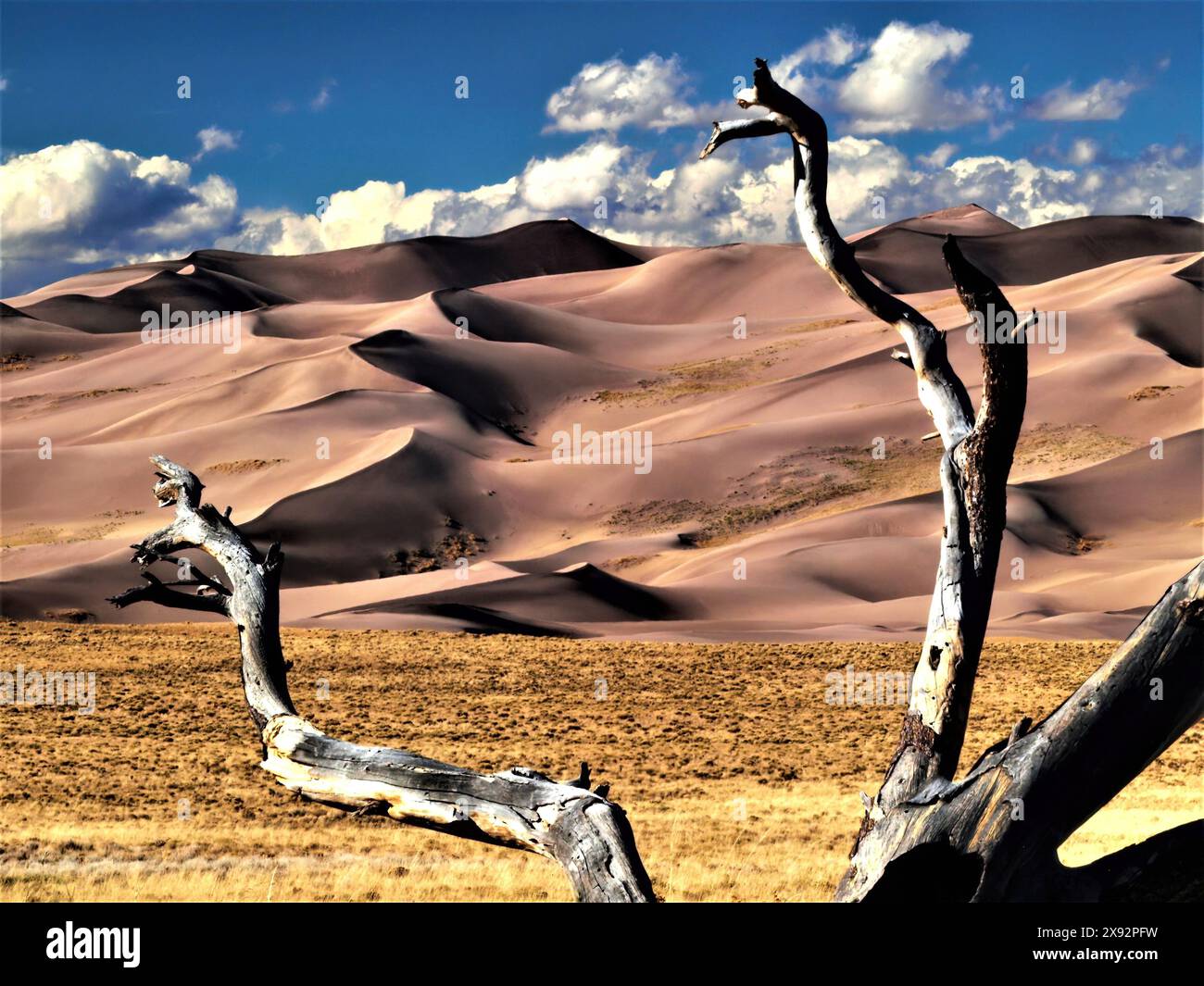 Sand dunes and lovely sky with tree limbs in the foreground Stock Photo ...