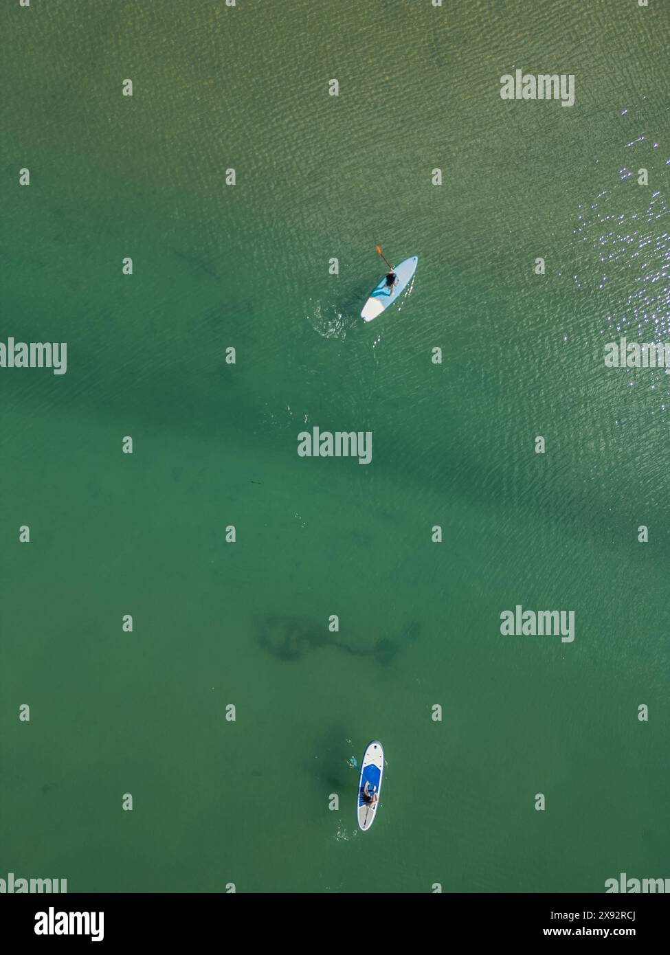 Aerial view couple paddleboarding on hi-res stock photography and ...