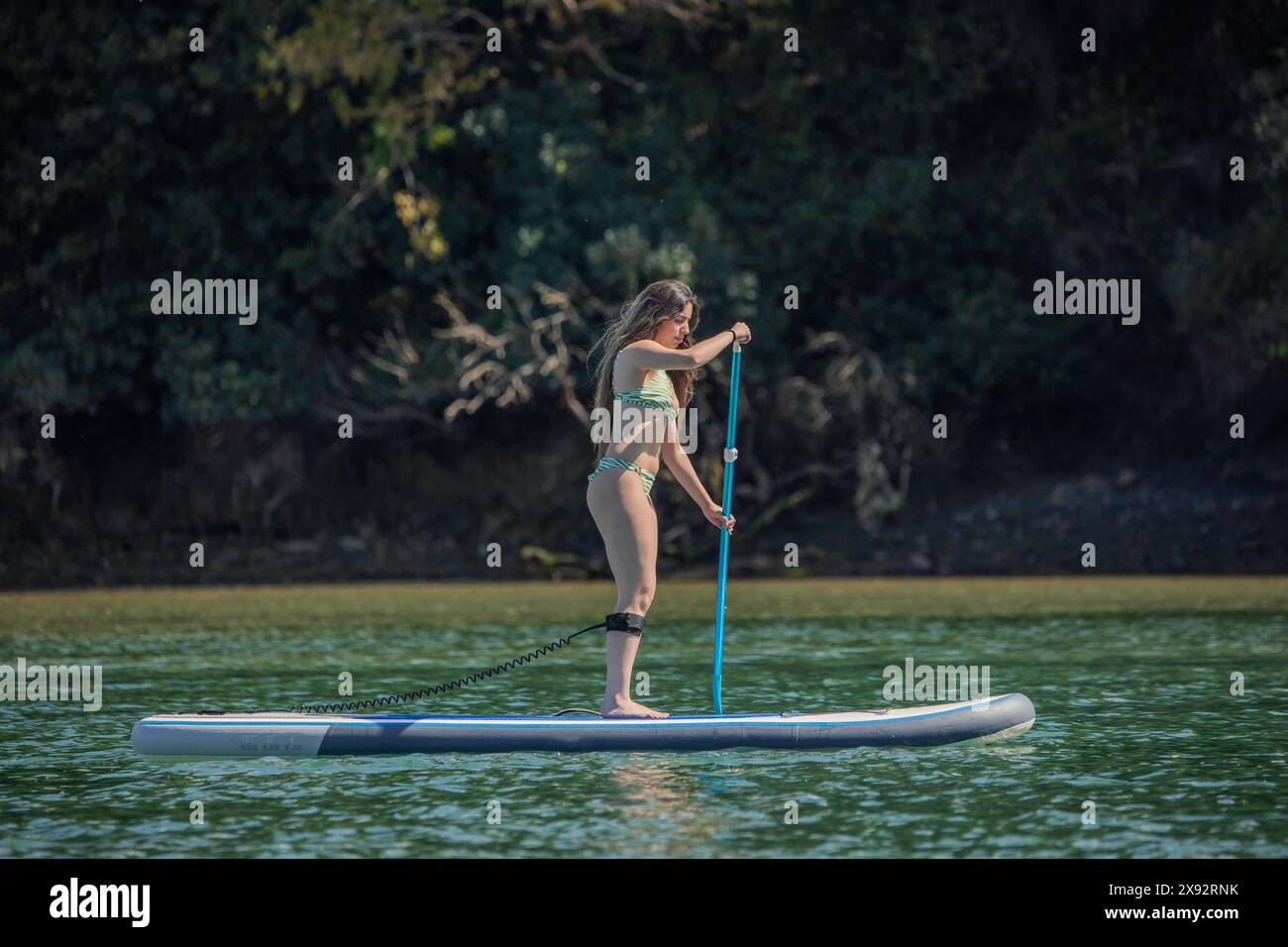 Caucasian teenage girl paddleboarding on the river, enjoying outdoor ...