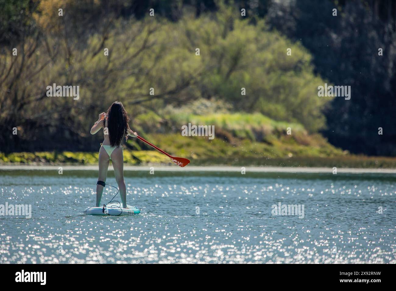 Back view woman wearing bikini hi-res stock photography and images - Alamy