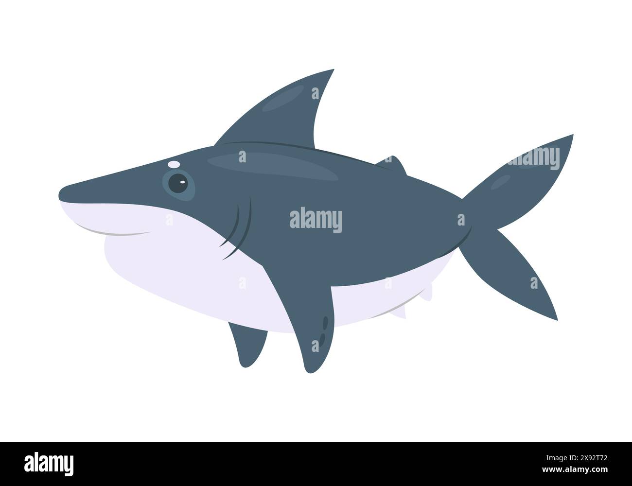 Cute shark, funny animal and aquatic predator, ocean and sea fauna ...