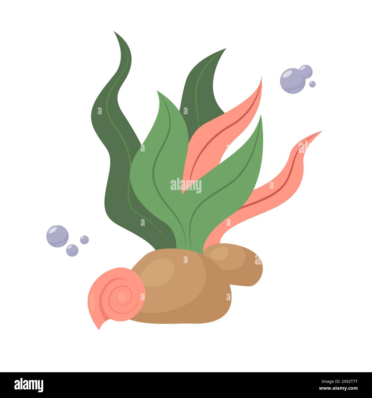 Algae growing on astone on sea or ocean floor, air bubbles around ...