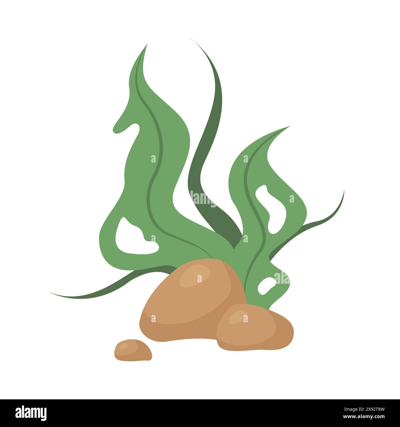 Green algae on underwater rocks, cute tropical undersea seaweed vector ...