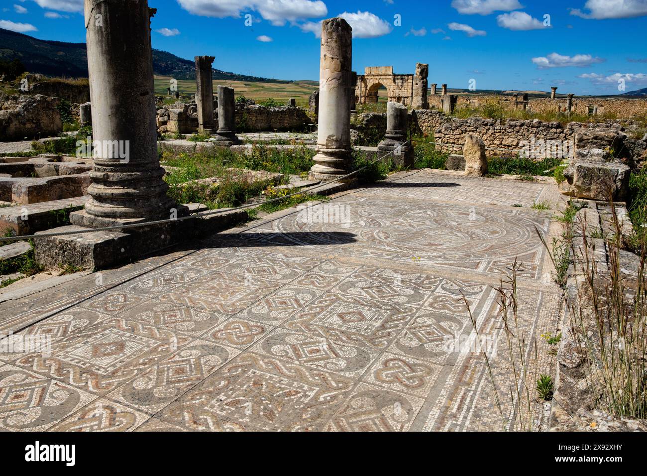 The Roman ruins tourist site of Volubilis featuring beautiful mosaic ...