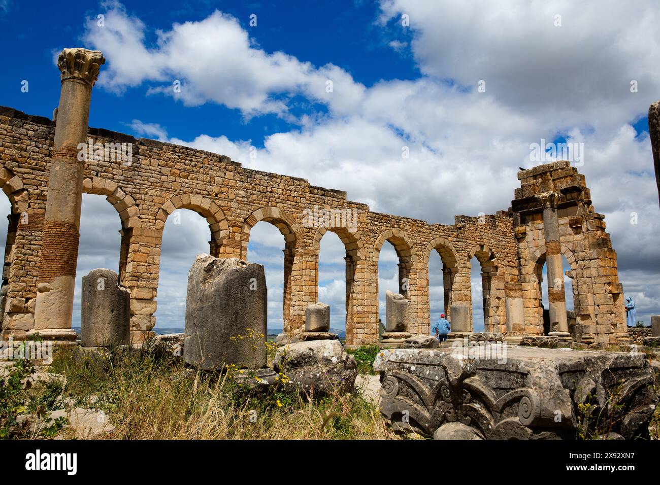 The Roman ruins tourist site of Volubilis featuring beautiful mosaic ...