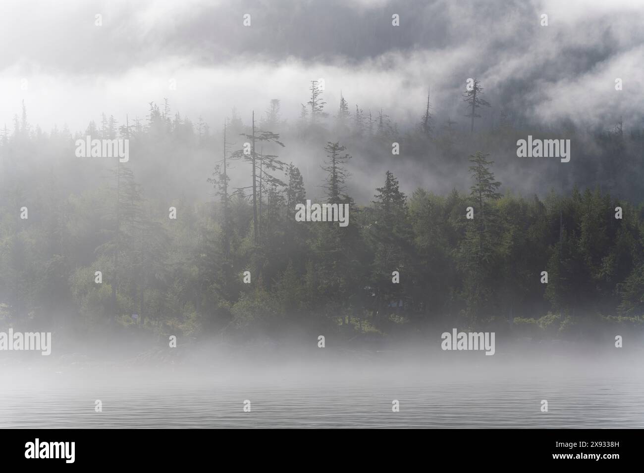 Vancouver island landscape in mist and fog along whale watching tour ...