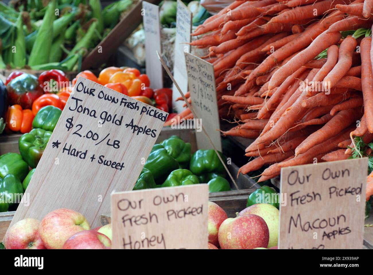 Table of Vegetables at a Farmer's Market Boston MA Stock Photo - Alamy