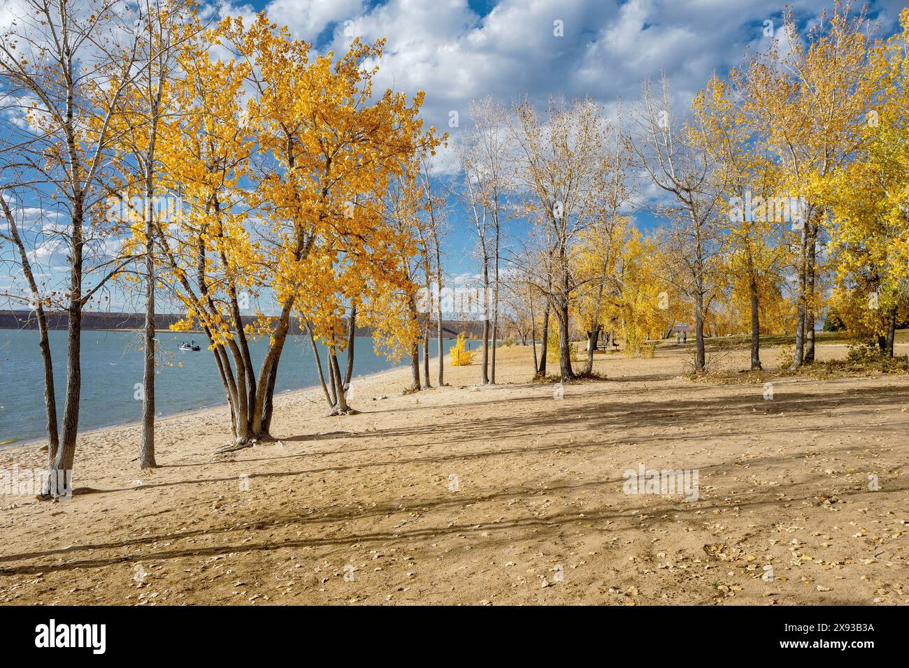 A Fall scene at Cherry Creek State Park in Colorado with changing trees ...