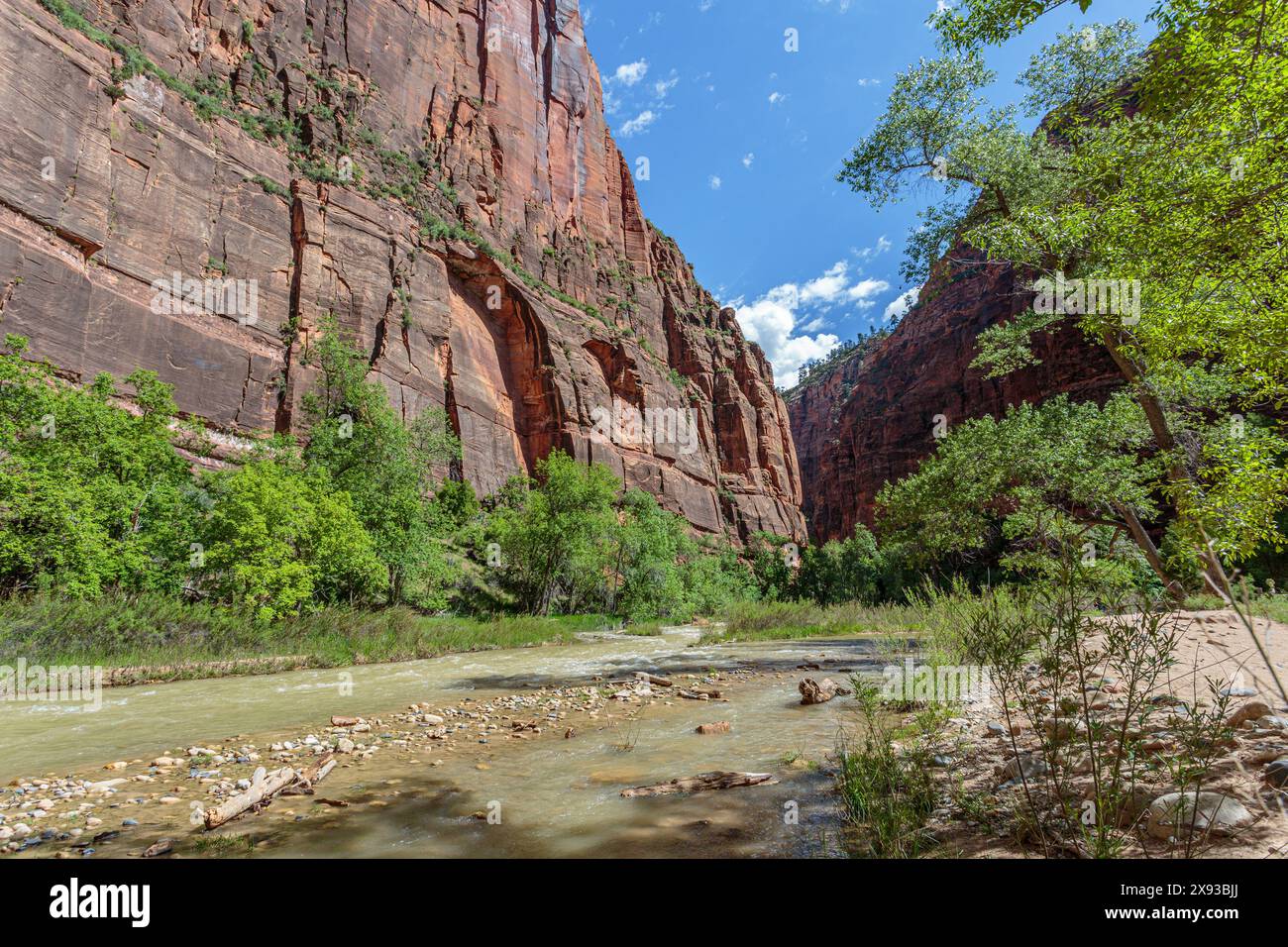 Virgin River runs between sandstone rock formations along the Riverside ...