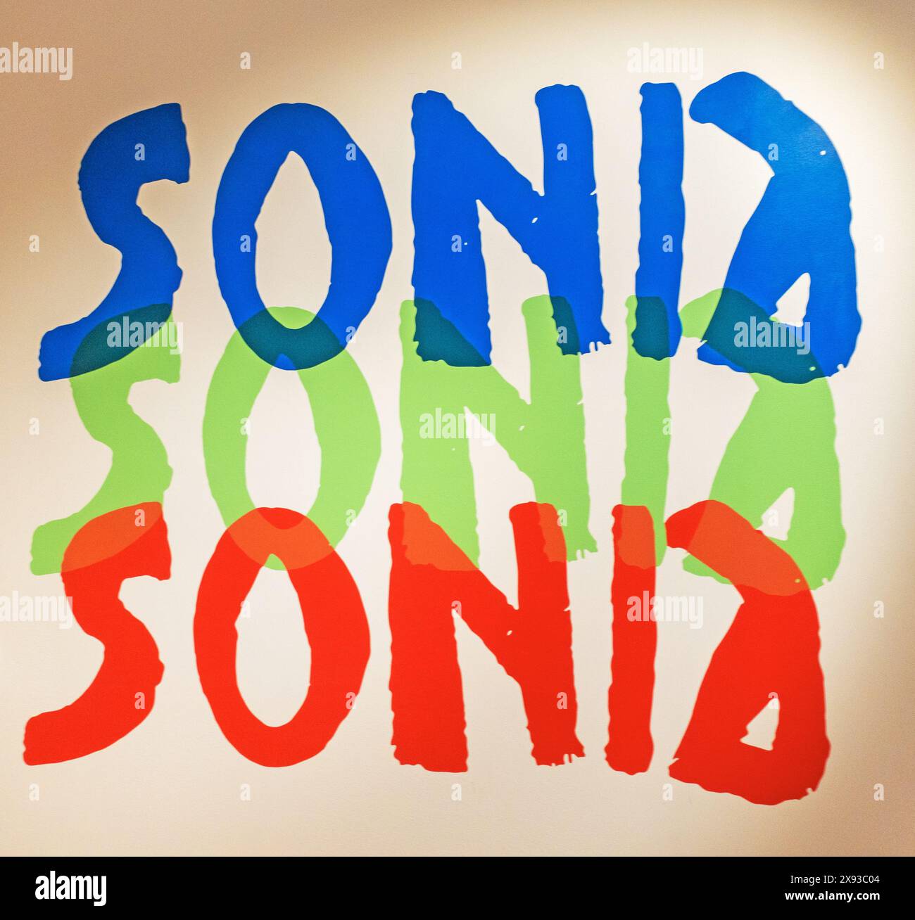 Sonia Delaunay exhibition at the Bard Graduate Center Gallery in ...