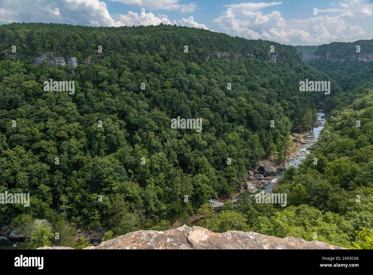 Little river canyon rim parkway hi-res stock photography and images - Alamy