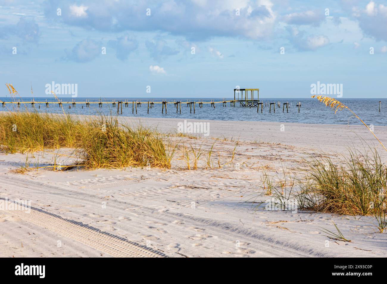 Sea oats and abandoned damaged piers along the man-made sand beach at Pass Christian ...