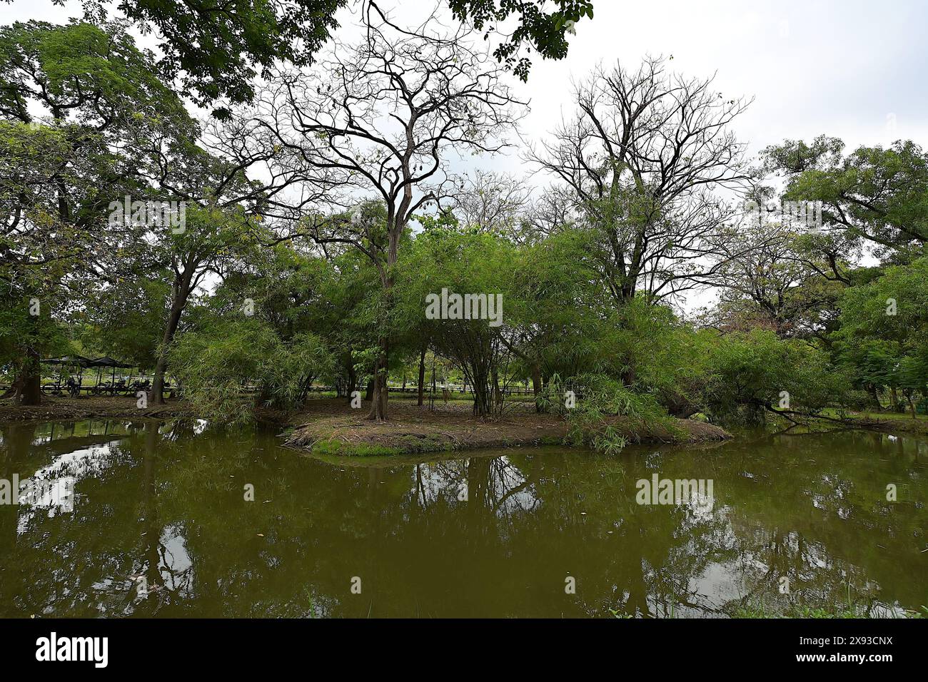 Cool shade and lush greenery at Suan Rot Fai, the largest of the 3 ...