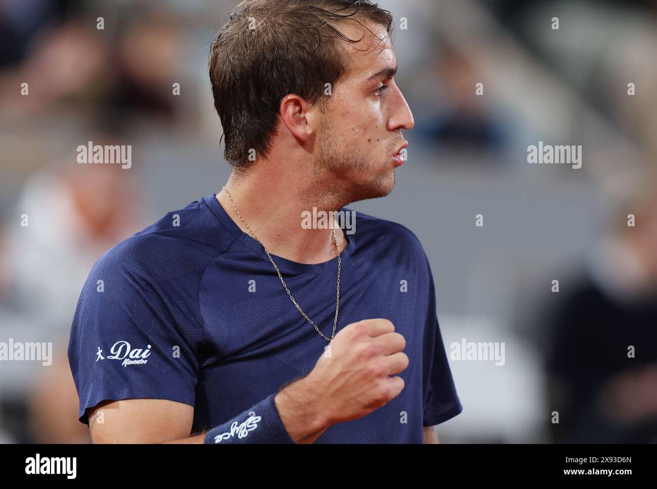 Paris, France. 28th May, 2024. Felipe Meligeni Alves of Brazil reacts ...