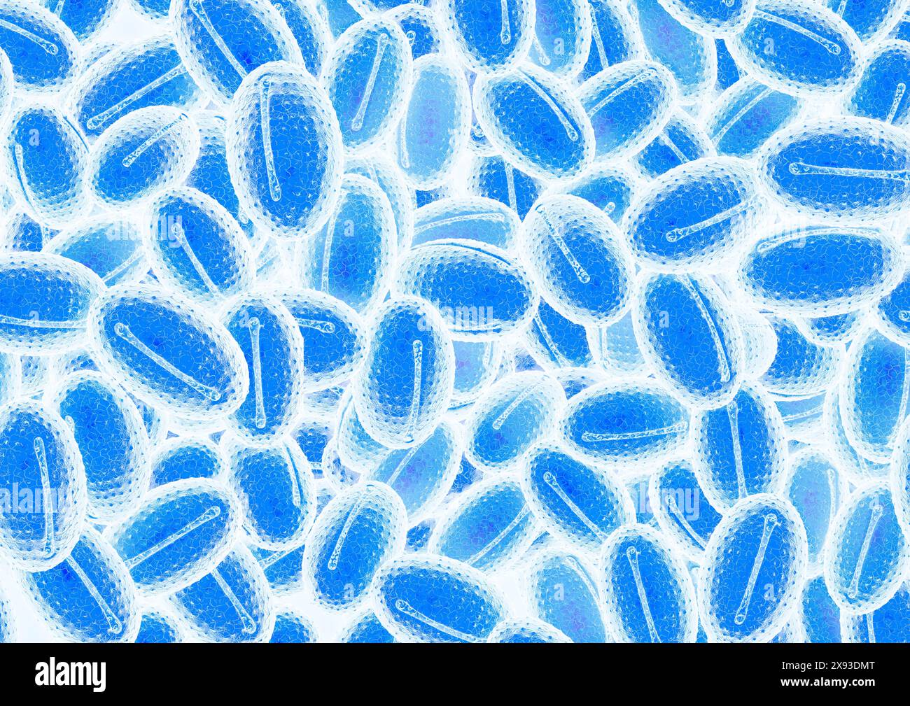 Pollen grains, conceptual illustration. Pollen grains are reproductive ...