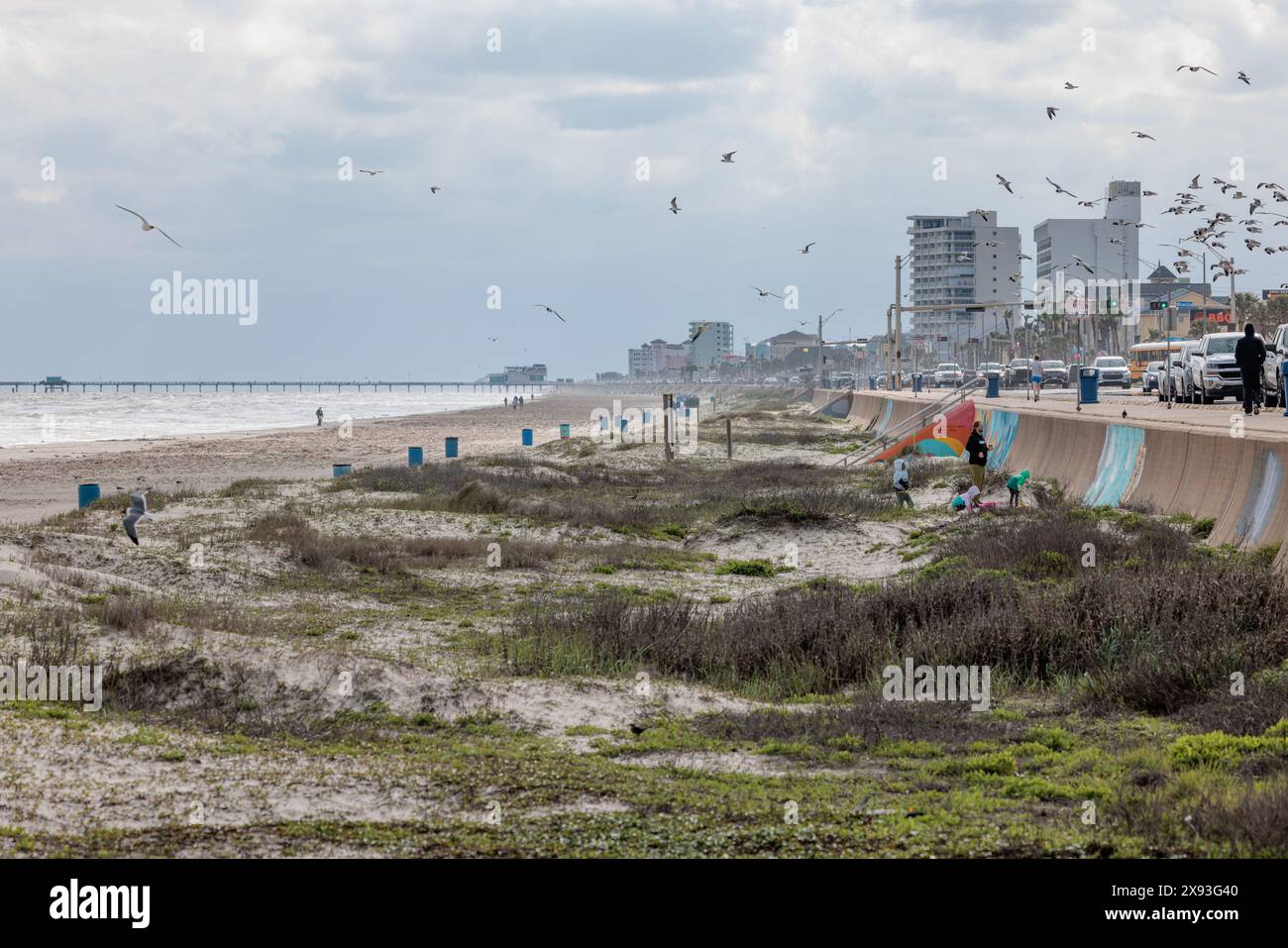 Sand beach and seawall along the Texas Gulf Coast at Galveston, Texas ...