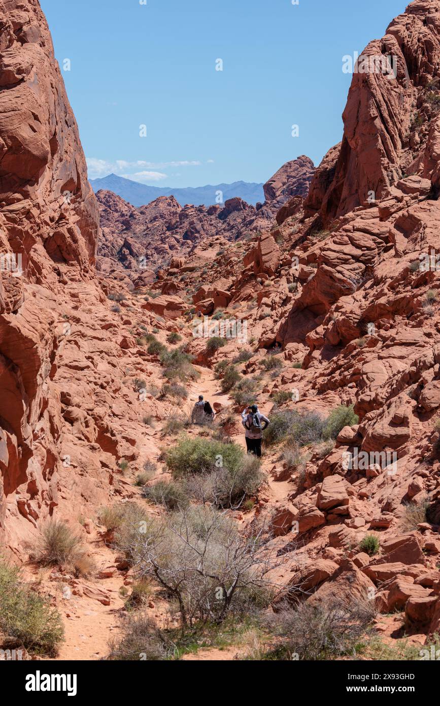 Hikers in a valley along the Fire Canyon Overlook Trail at Valley of ...