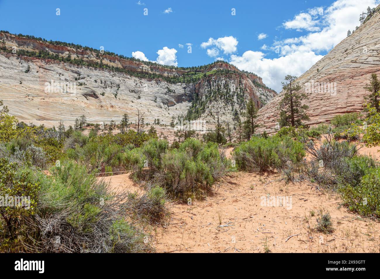 Patterns of erosion on the rock formations in the Checkerboard Mesa ...