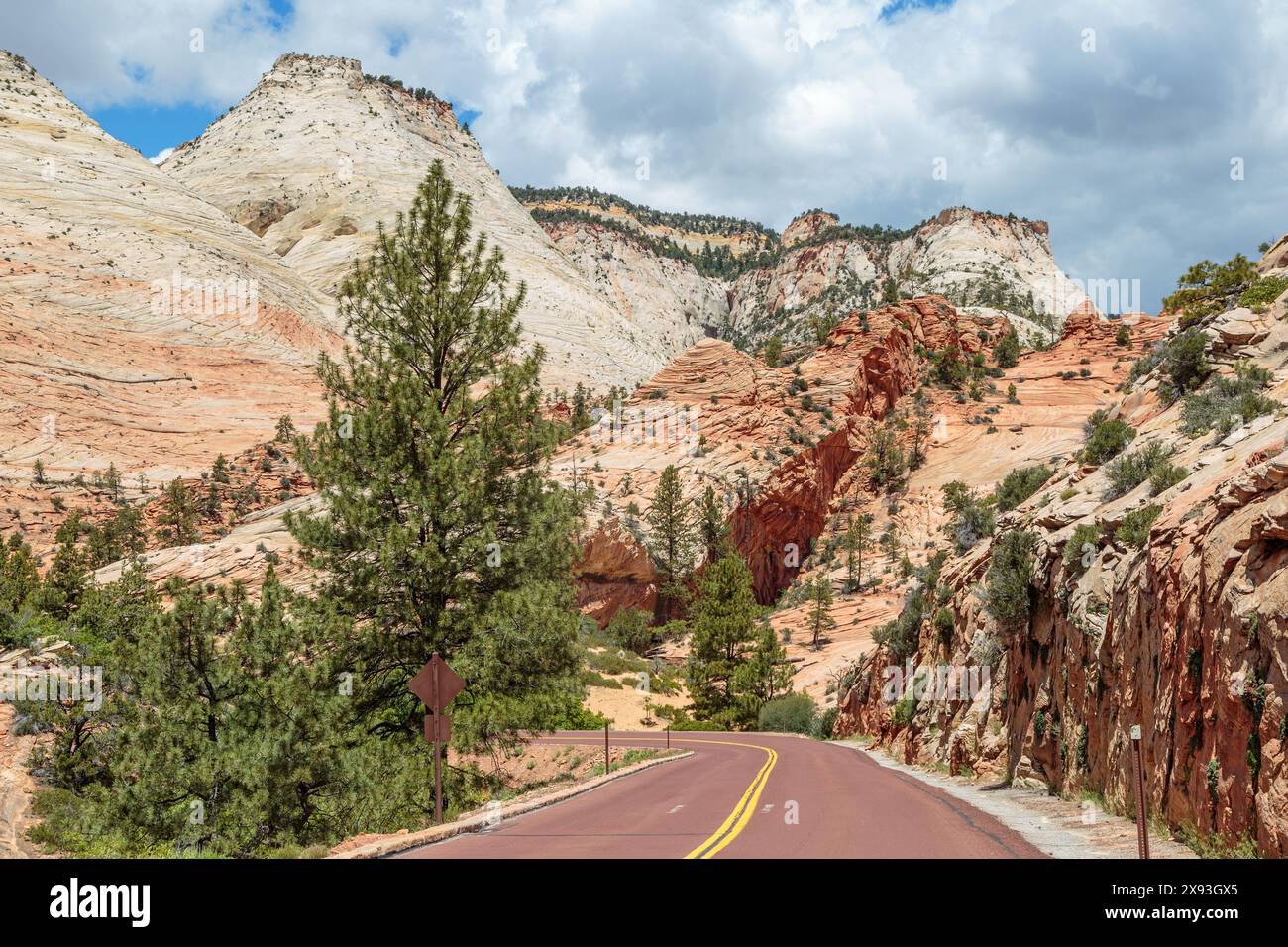 Patterns of erosion on the rocky mountainside along the Zion Park ...