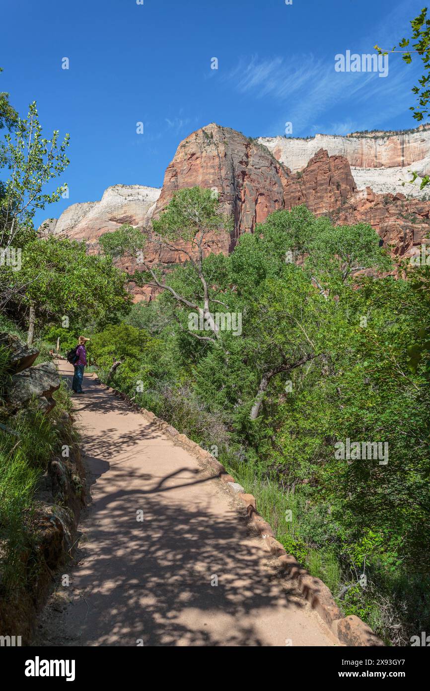 Female tourist admiring rock formations and vegetation along the ...