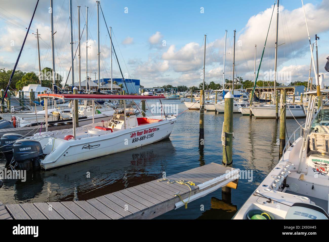 Dive boats and sailboats docked at Yacht Harbor Marina on Bayou Chico ...