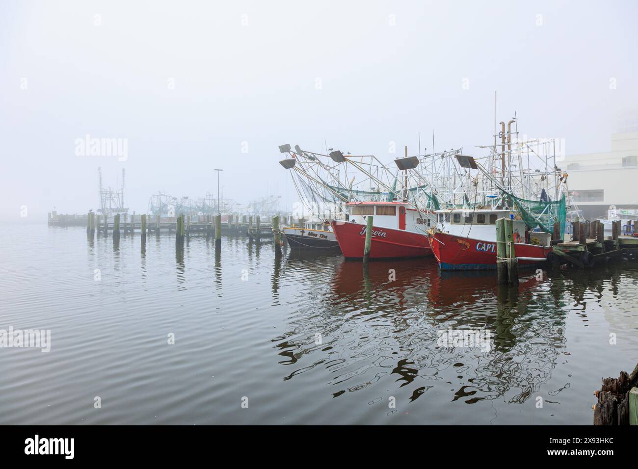 Commercial shrimp boats at the dock in the commercial area of the ...
