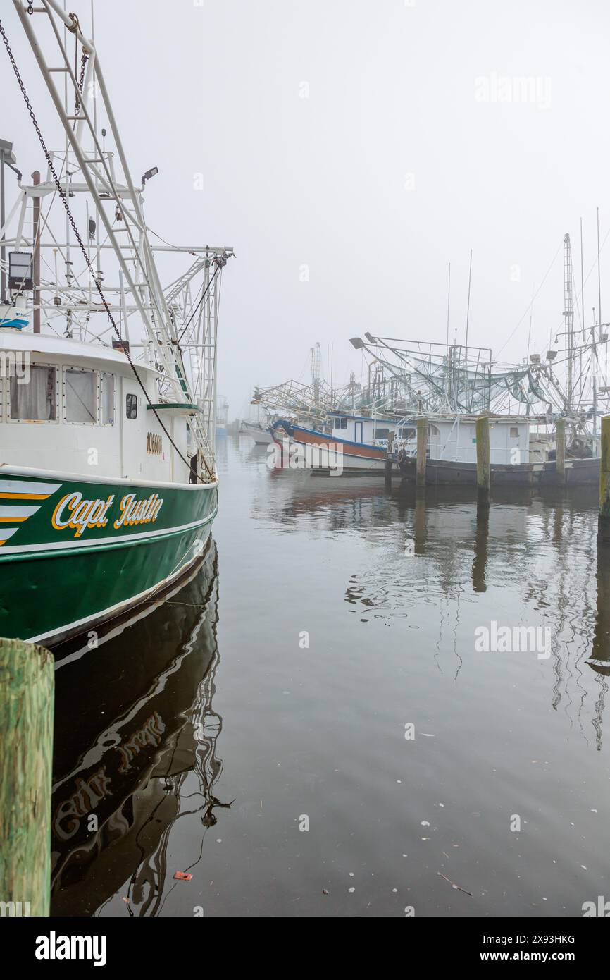 Commercial shrimp boats at the dock in the commercial area of the ...