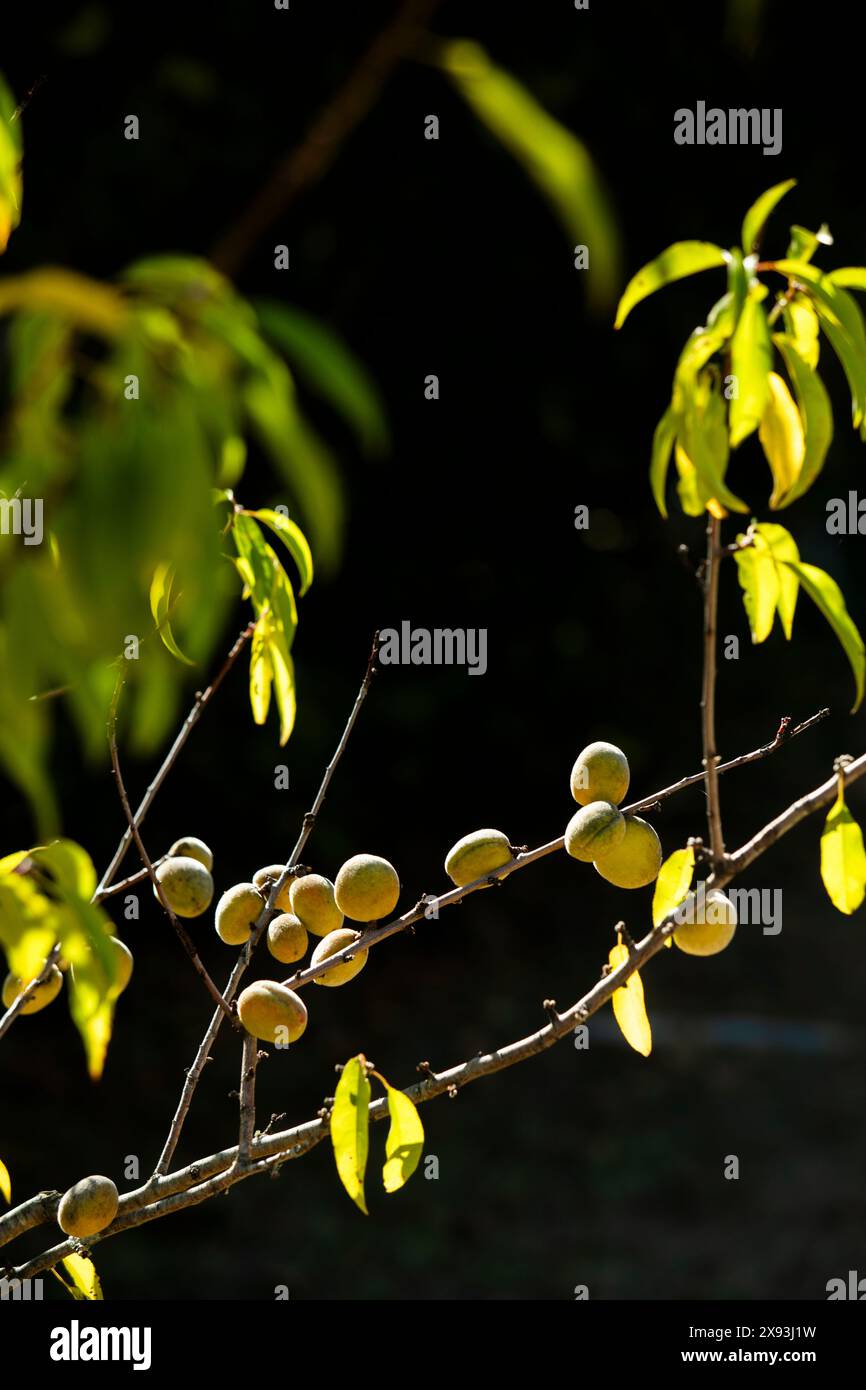 Picture by Tim Cuff. 1 March 2024 - Nelson City Council's Ranui Reserve ...